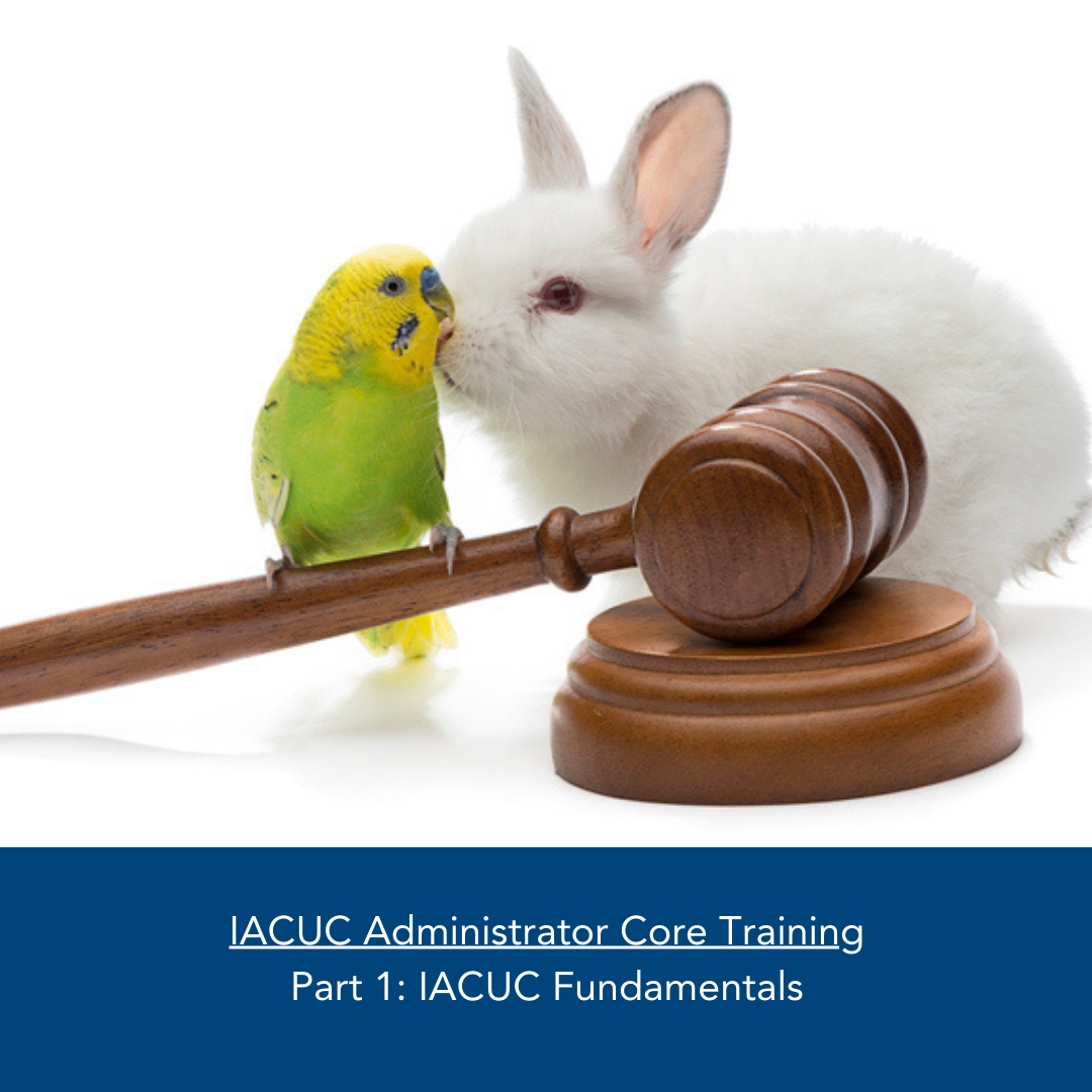 Store - PRIMR Lightning Member Community