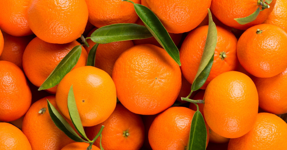 Petitgrain mandarin oil (Citrus reticulata blanco var. mandarin) | The ...