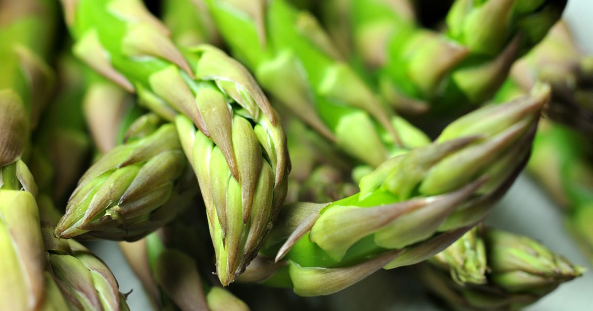 Phenol | The Fragrance Conservatory