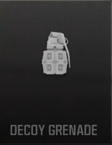 MW3 | Decoy Grenade - Tactical Perk & How to Unlock | CoD Modern ...