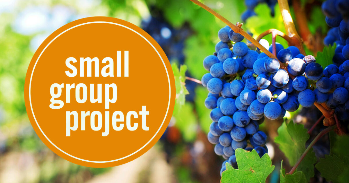 Discipleship Ministries | Join the Lenten Small Group Project:…