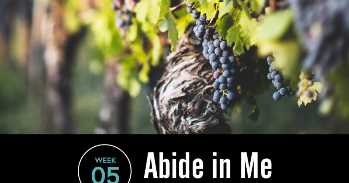 Discipleship Ministries | Fifth Sunday of Easter, Year B - Offertory…