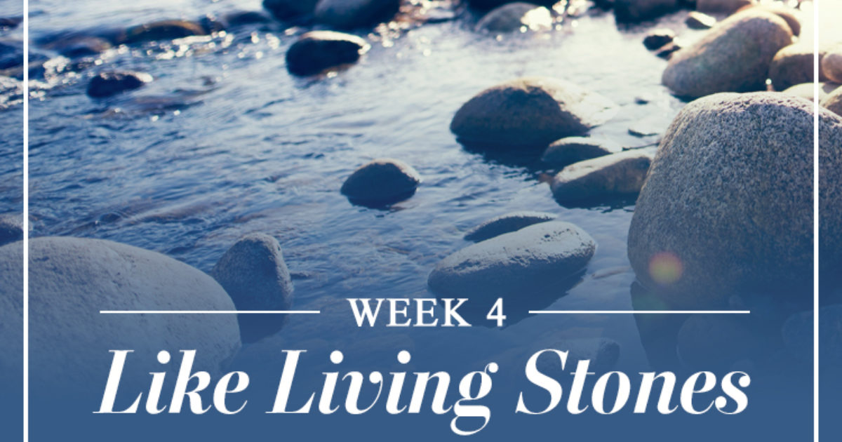 Discipleship Ministries | Fifth Sunday of Easter, Year A - Offertory…