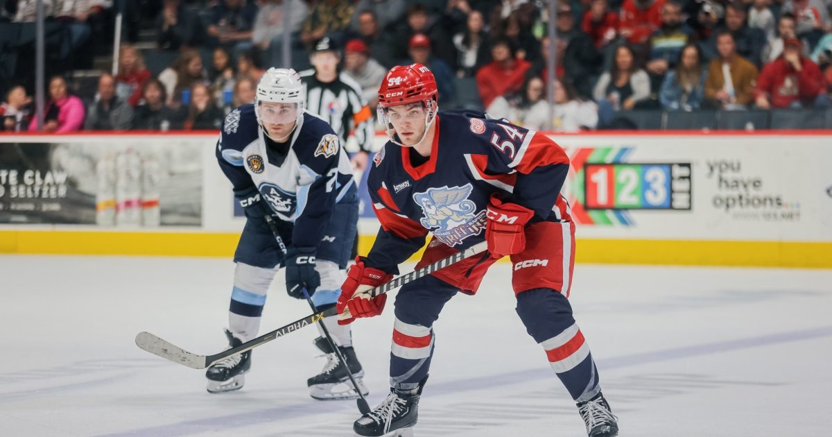 Grand Rapids Griffins | Choppy Waters