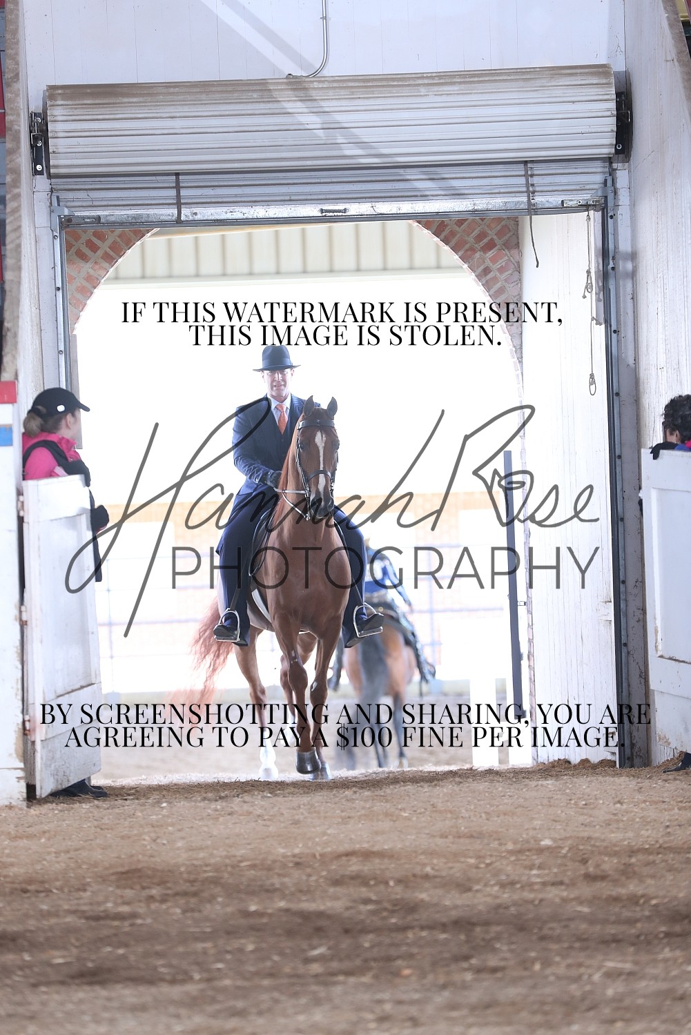 Mo-Kan Border Bonanza 2024 - FIND YOUR PHOTOS - 2024 Horse Shows ...