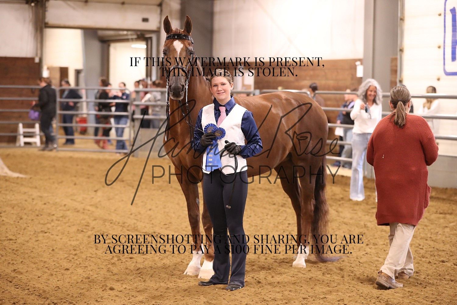 Iowa Arabian Spring Show & Gold Star Futurity - FIND YOUR PHOTOS - 2025 ...