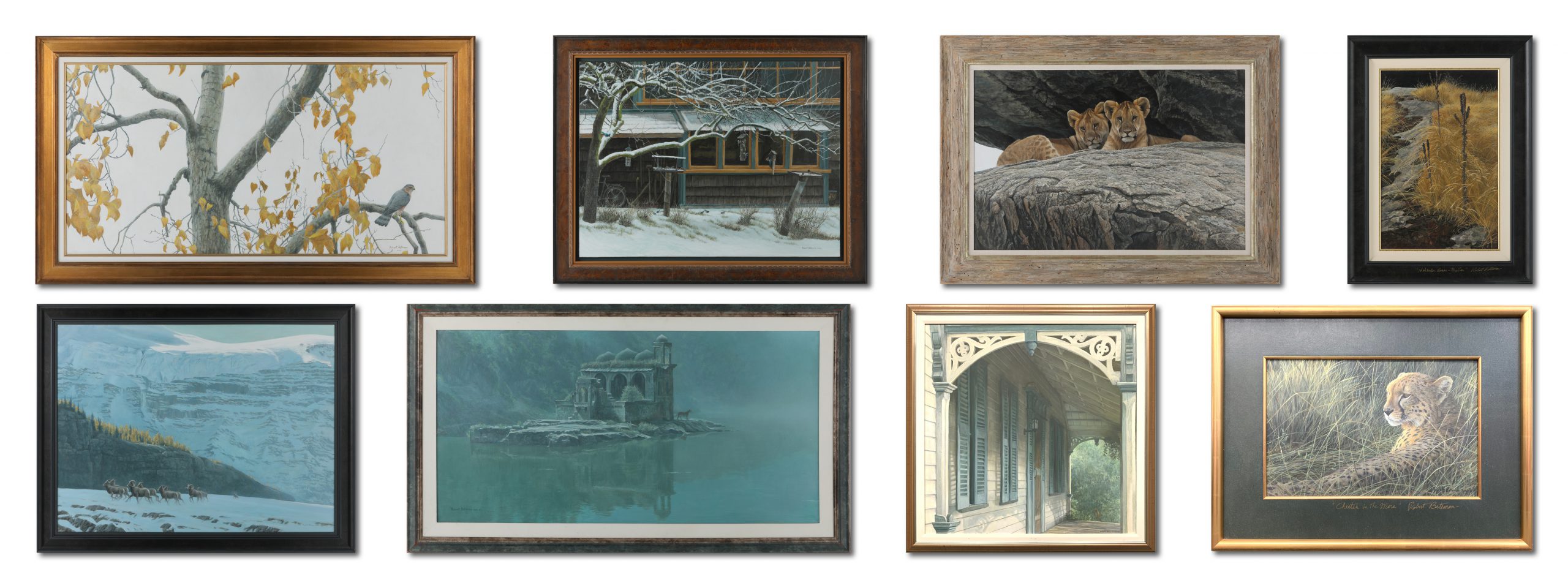 Robert Bateman Original Paintings - Oakwood Auctions