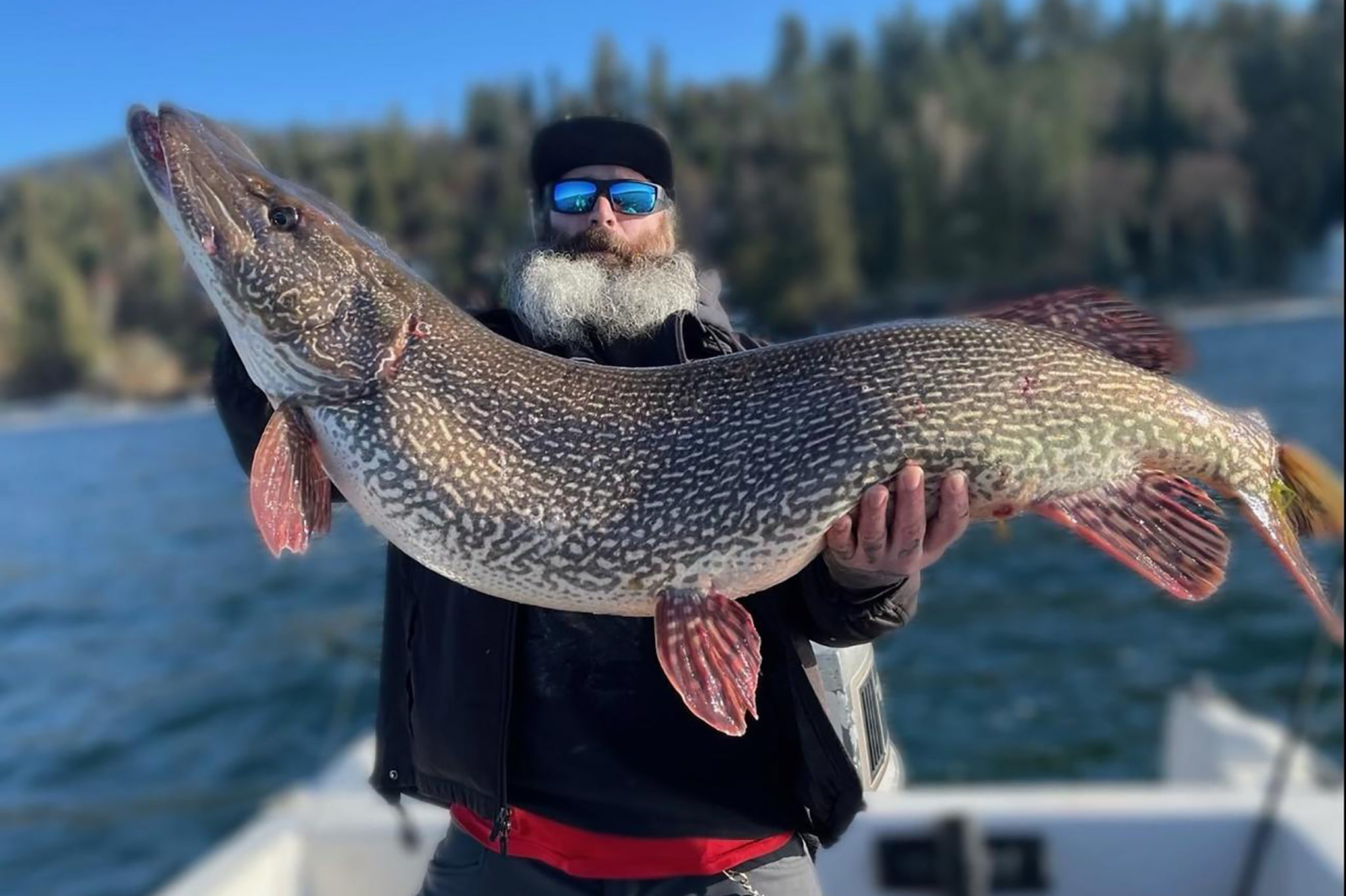 Behemoth State Record Northern Pike Caught in Idaho | GearJunkie