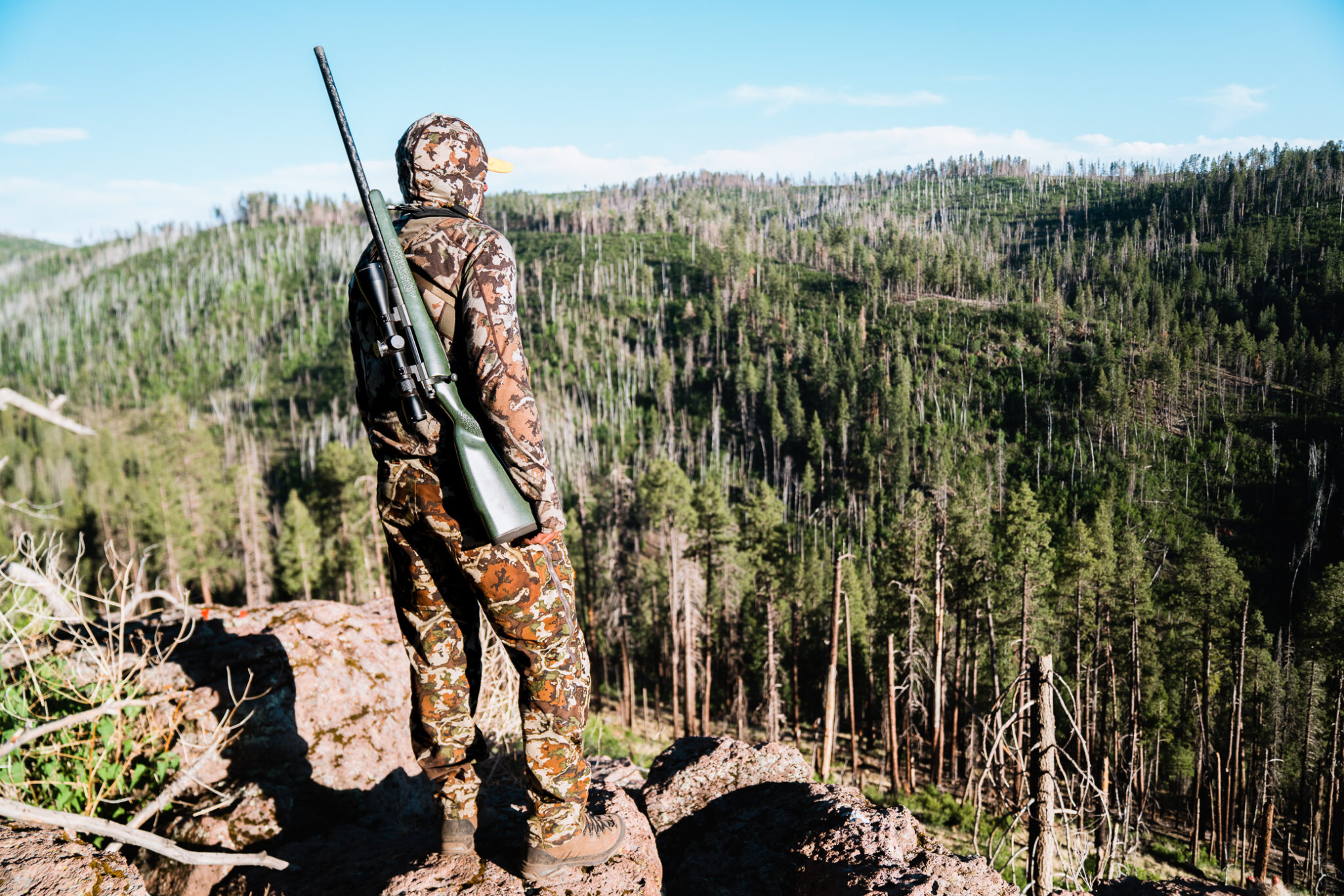 Spring Bear Hunting: Why You Might be Failing | GearJunkie