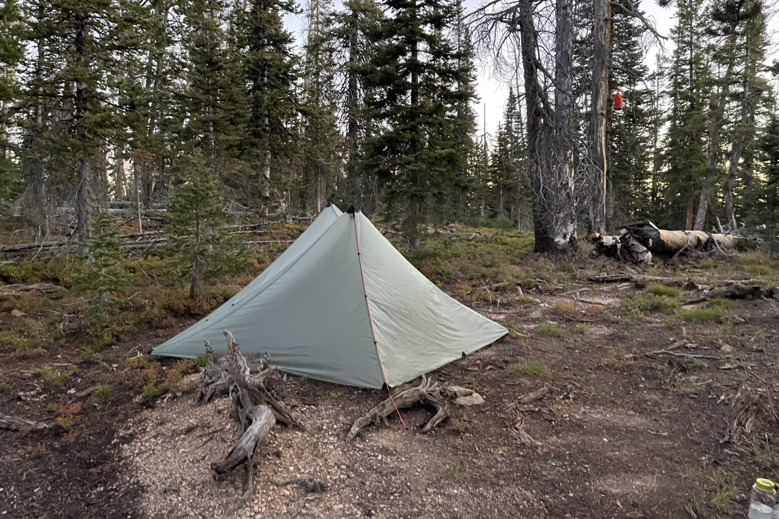 Seek Outside Silex Review: Minimalist Tent for Solo Adventure | GearJunkie