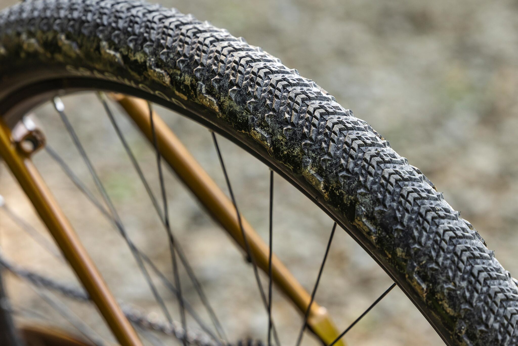 How to Choose a Gravel Tire for Every Rider | GearJunkie