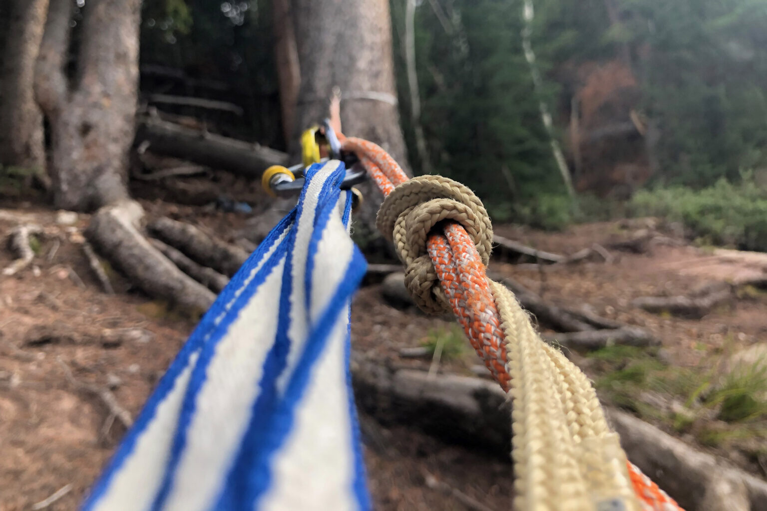 You Want Me to Rappel on That? Petzl RAD Line, Mammut Glacier Cord Head ...