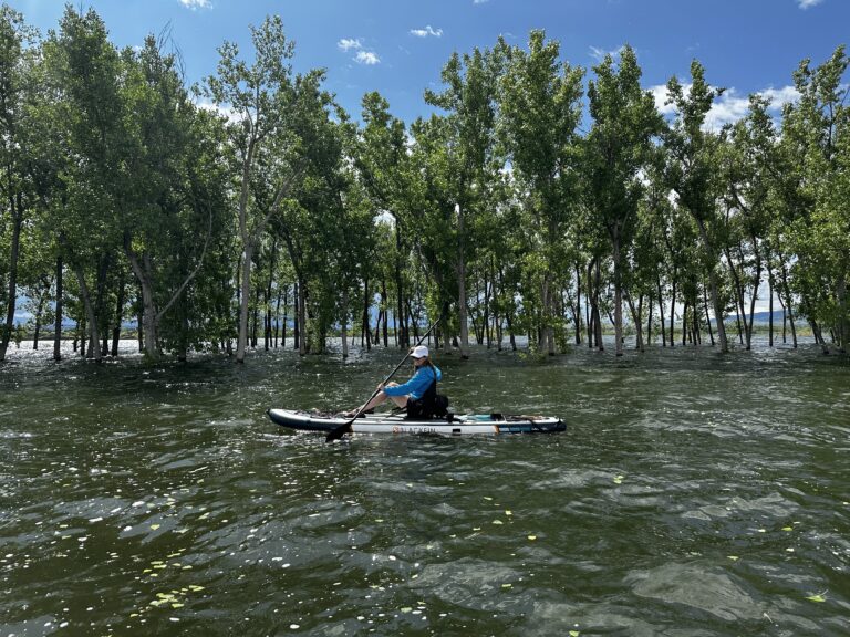 STAGE 2SIDE Double-Sided Paddle Review