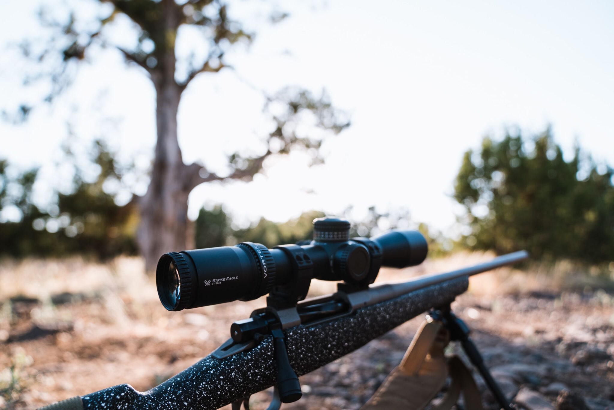 Vortex Strike Eagle Review: Finally, an Affordable Long-Range Rifle ...