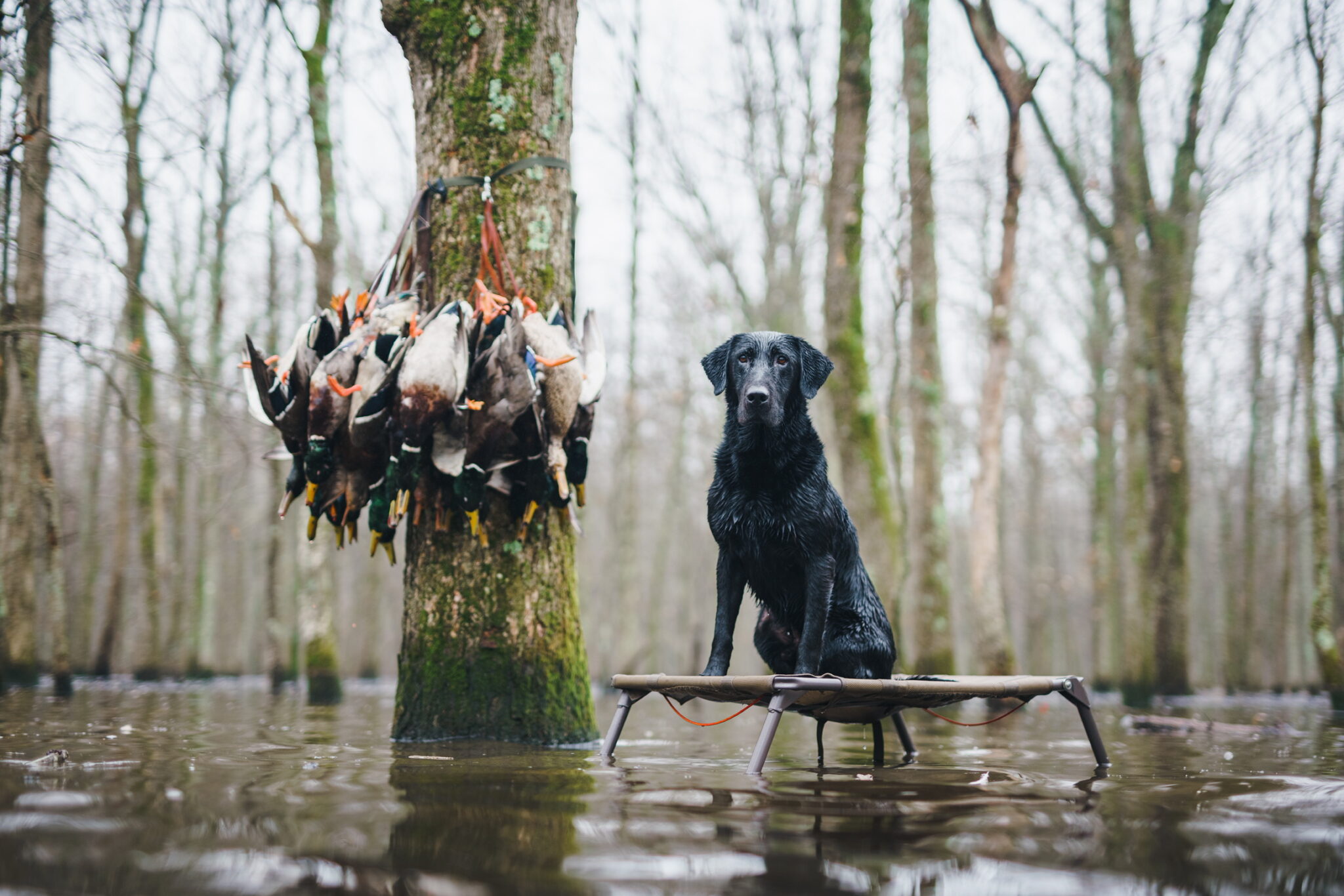Chêne Gear Waders Review: Worth the Waterfowl Hype| GearJunkie
