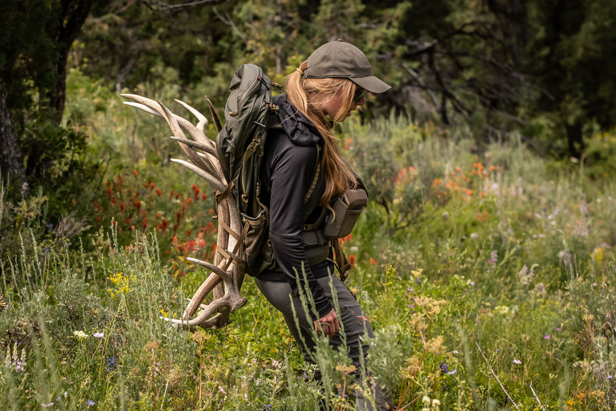 How to Shed Hunt: Treasure Hunting for Antlers