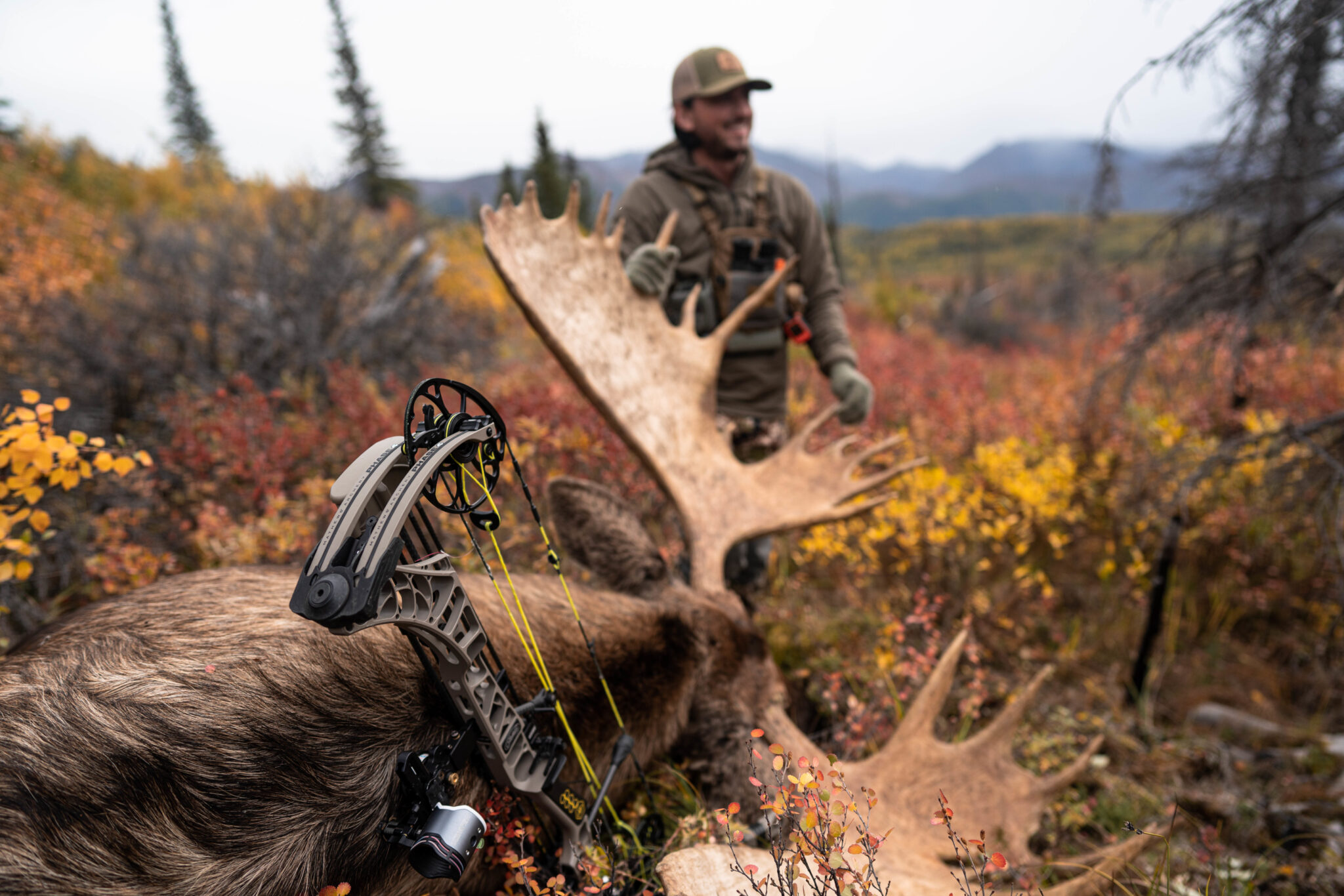 Dead Quiet: Mathews Phase4 Bow's New Limbs, Improved ‘Bridge-Lock ...