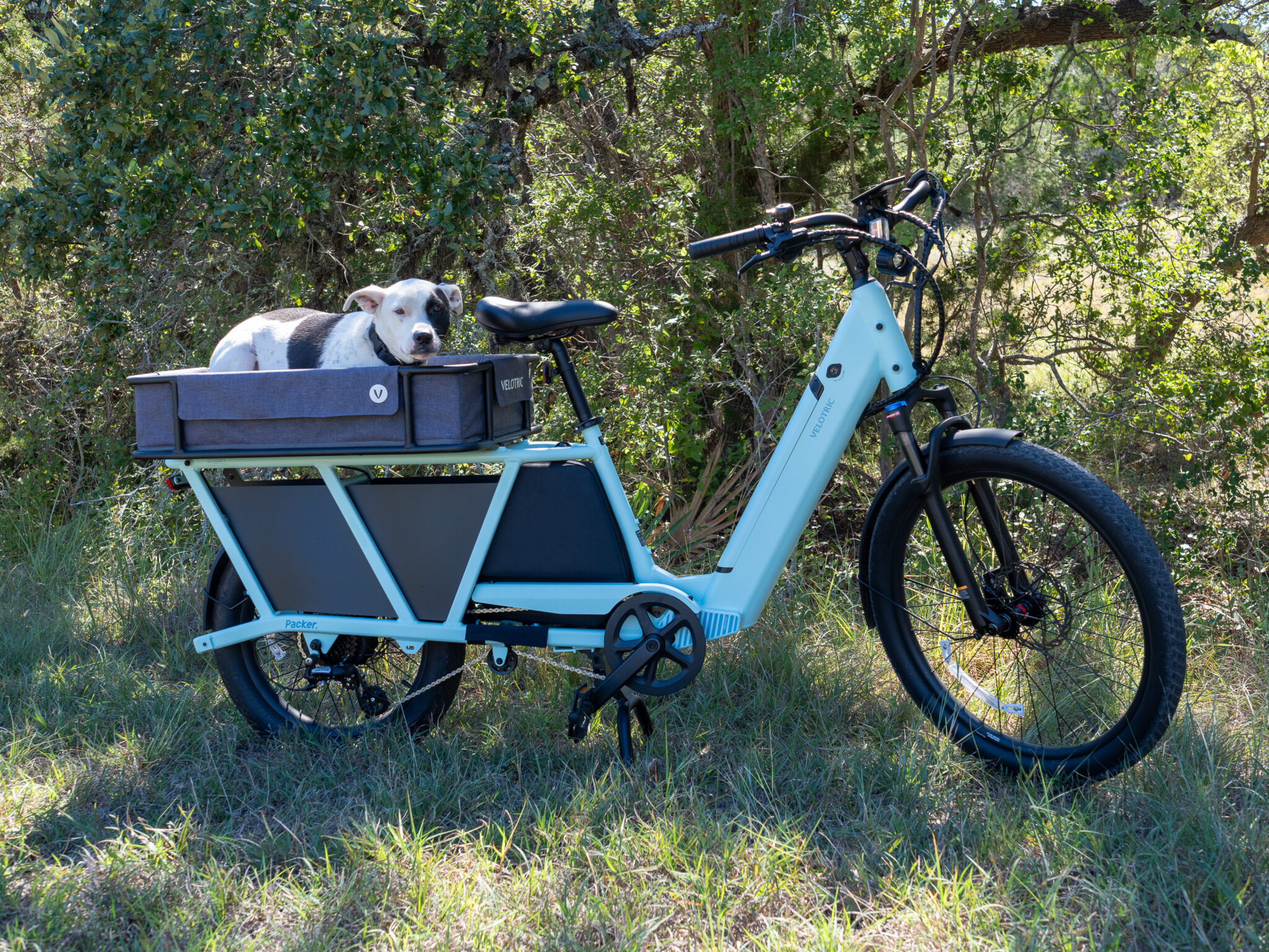 The Best Electric Cargo Bikes of 2025 | GearJunkie Tested