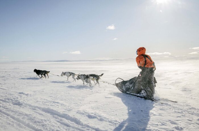 Apply for Epic Dogsled Adventure: Fjällräven Polar Challenge Opens Up ...