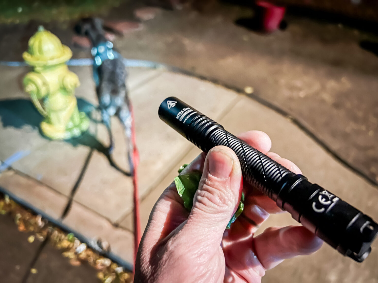 The Perfect Dog-Walking Flashlight? Meet the Nitecore MT2A Pro