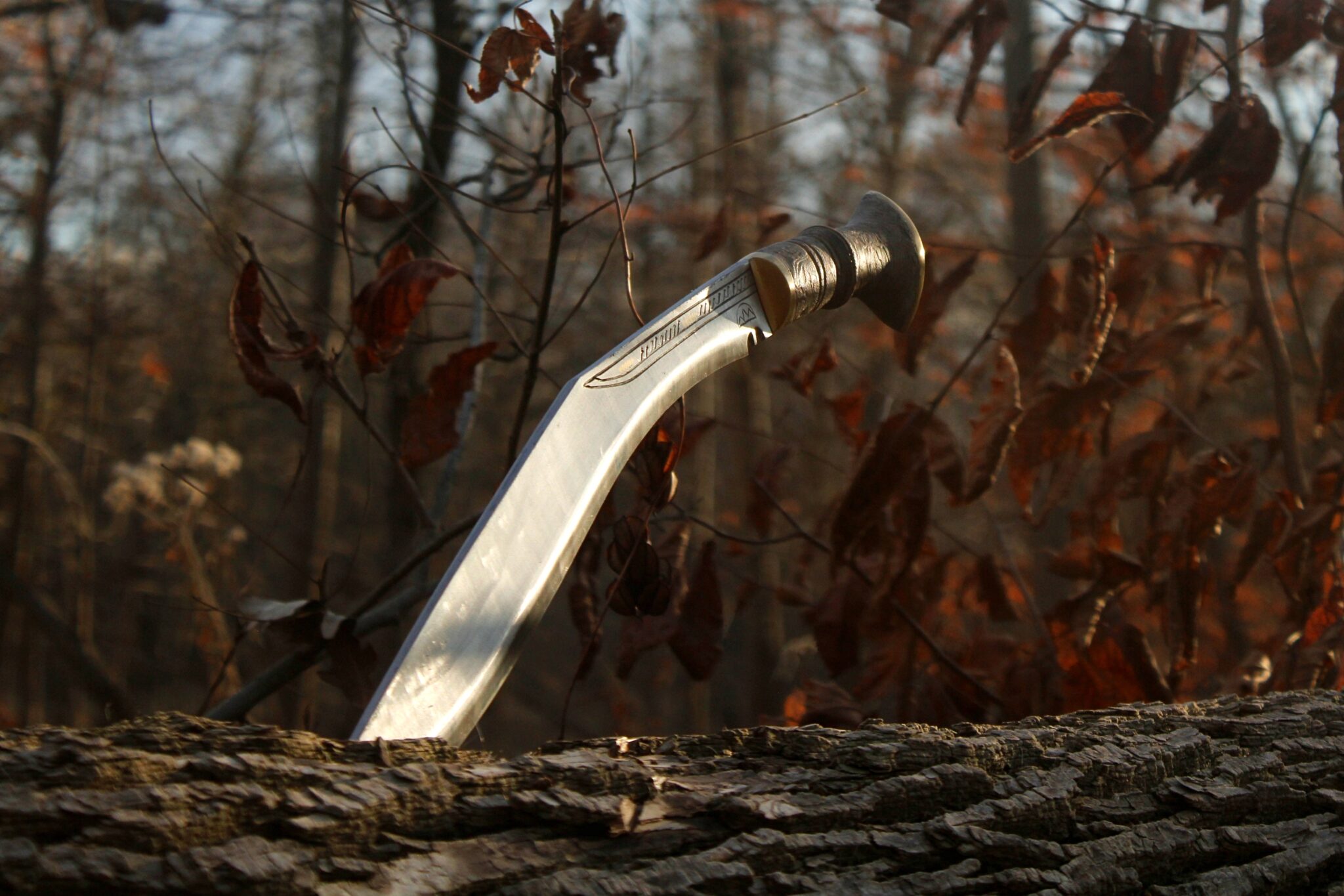 Kailash Khukuri Blade Review: My Favorite Big Backwood Blade