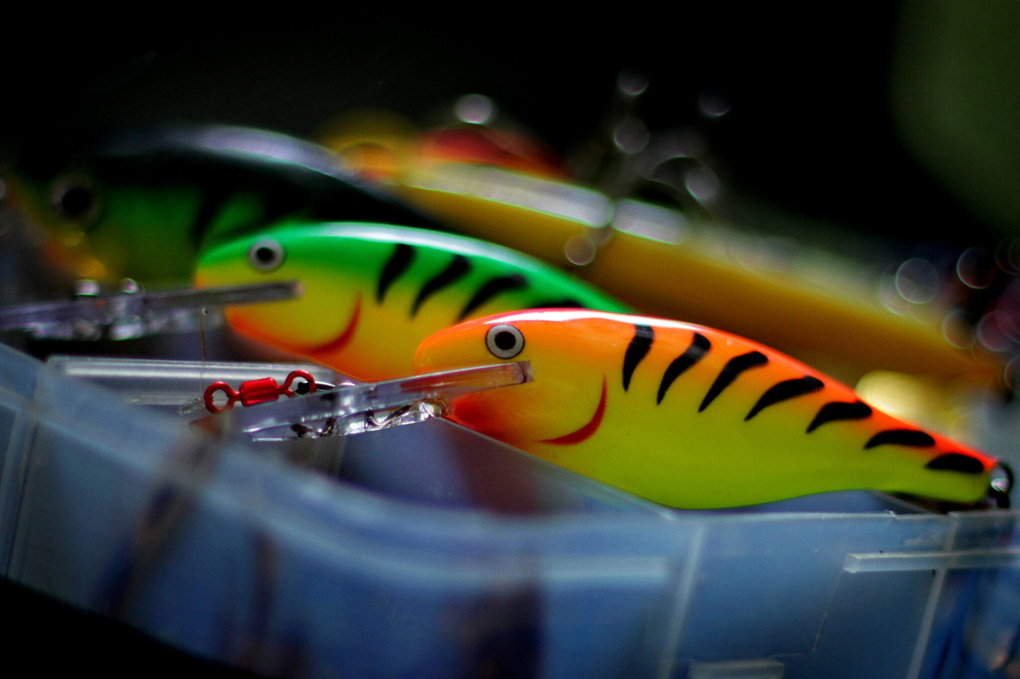 The Science Behind What Bass See and How to Choose Your Lures