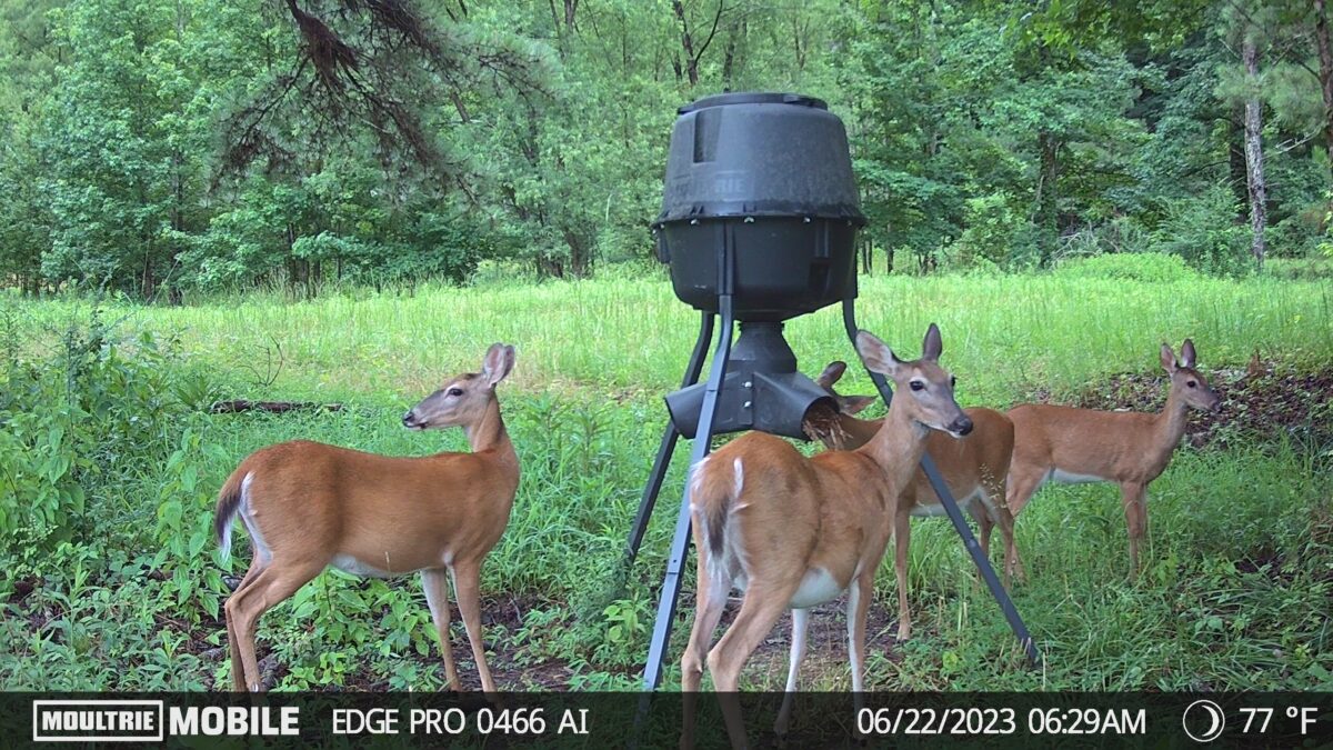 Moultrie Mobile Edge Pro Review: A Cellular Trail Cam for the Deer Junkie