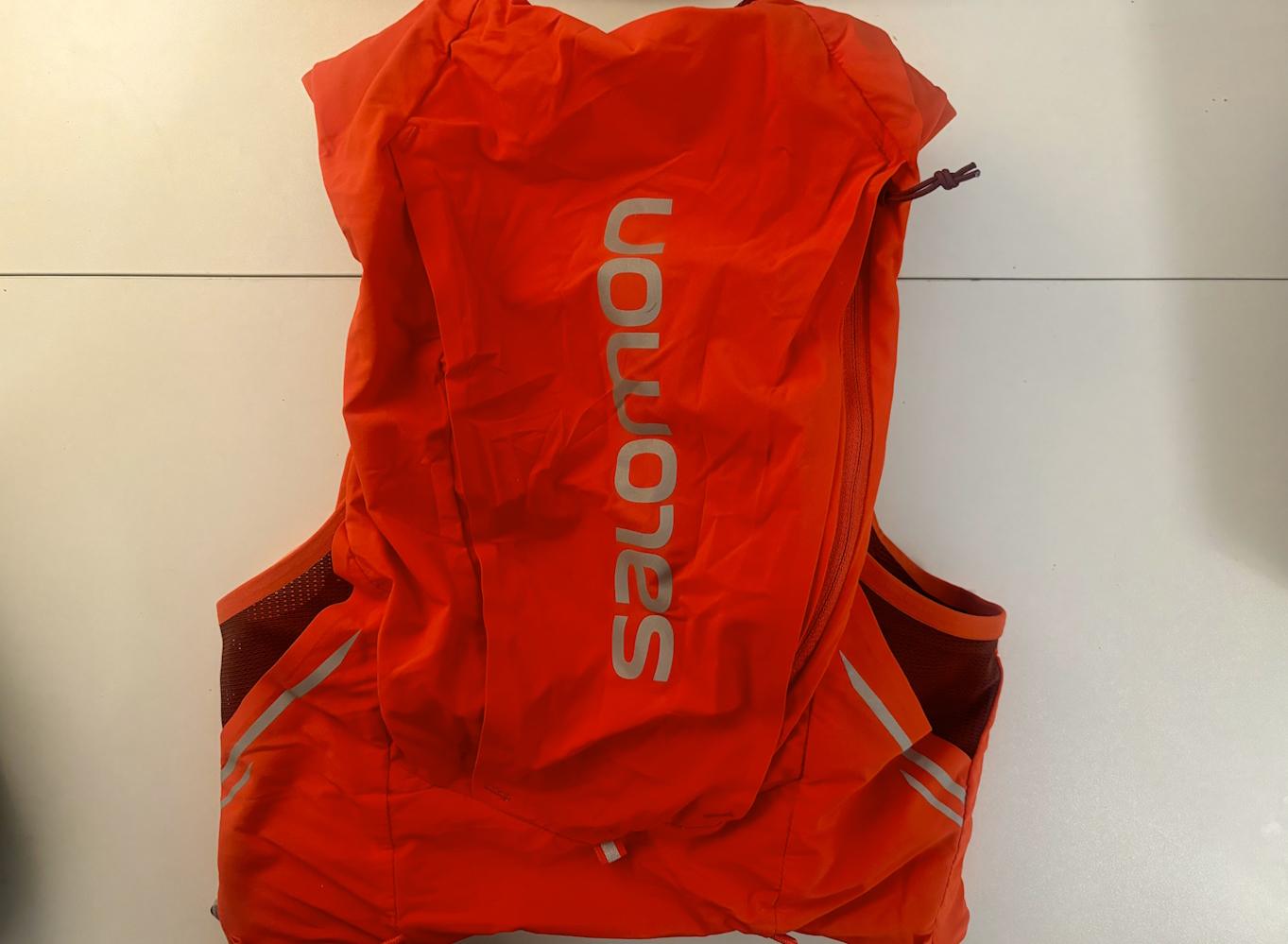 Salomon Sense Pro 10 Running Vest Review: No Chafe, No Bounce, All the ...