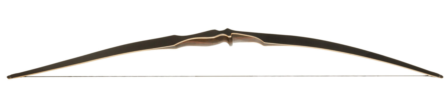 Common Types of Archery Bows: Compound, Recurve, Longbow, and Self Bow