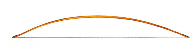 Common Types of Archery Bows: Compound, Recurve, Longbow, and Self Bow