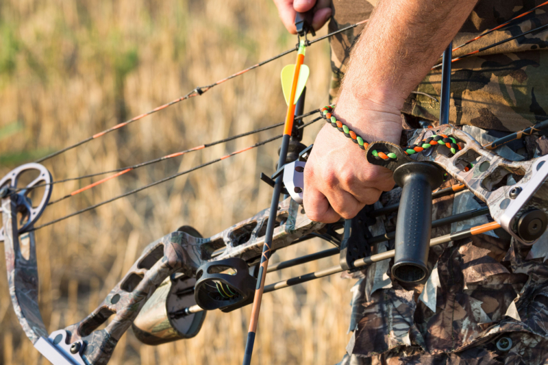 Common Types of Archery Bows: Compound, Recurve, Longbow, and Self Bow