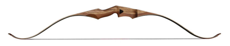 Common Types of Archery Bows: Compound, Recurve, Longbow, and Self Bow
