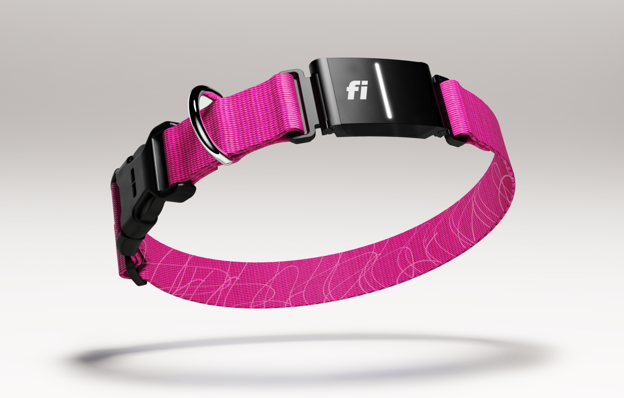 The Best Dog GPS Trackers of 2024