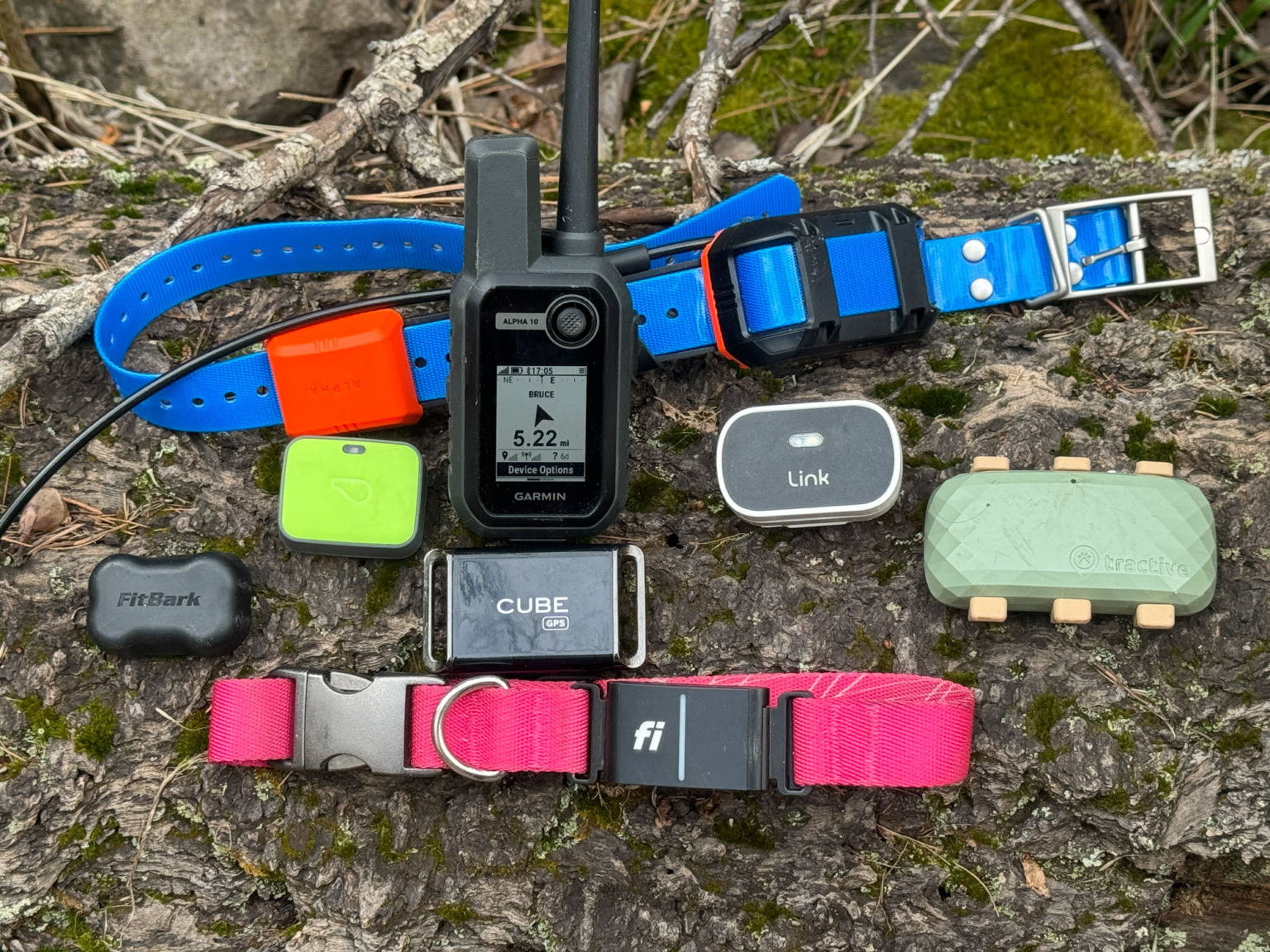 The Best Dog GPS Trackers of 2025 | GearJunkie Tested