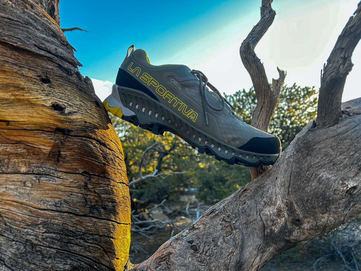 The Best Hiking Shoes for Women of 2025 | GearJunkie Tested