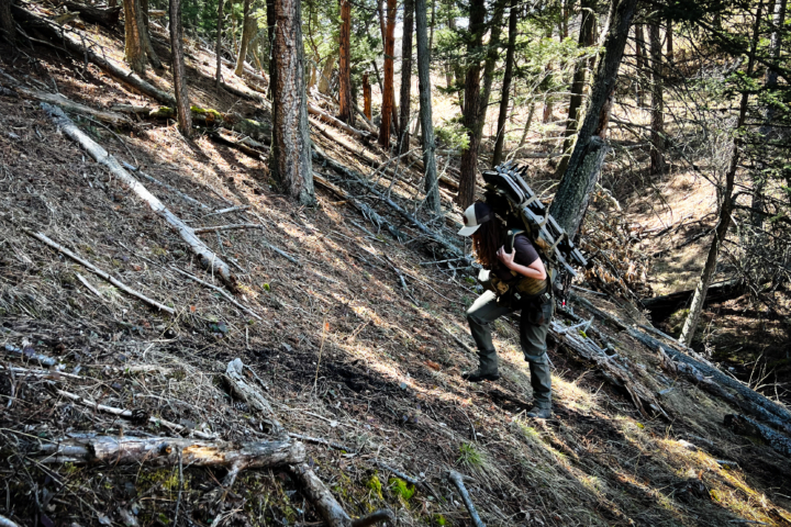The Best Tree Stands of 2024 | Tested by GearJunkie