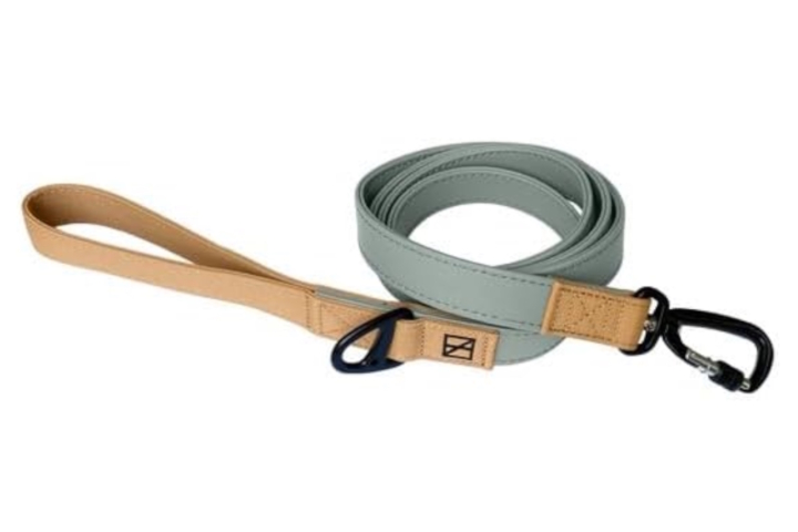 The Best Dog Leashes of 2025 | GearJunkie Tested