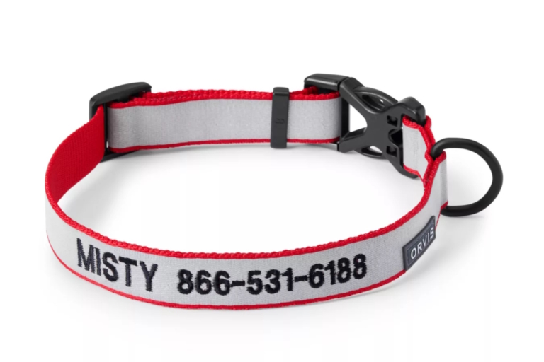 The Best Dog Collars of 2025 | GearJunkie Tested