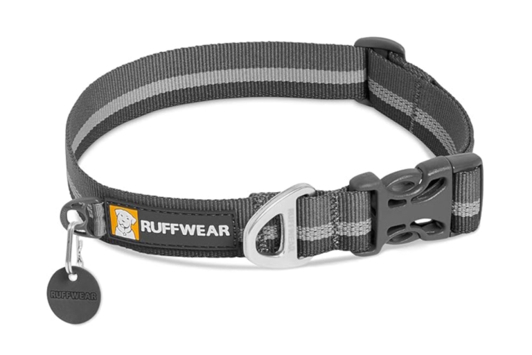 The Best Dog Collars of 2025 | GearJunkie Tested