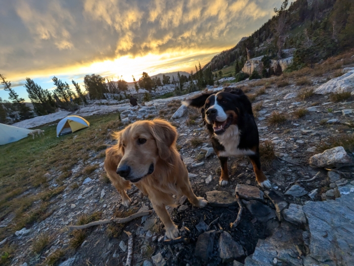 How to Press Paws and Seize the Day With Your Dog | GearJunkie