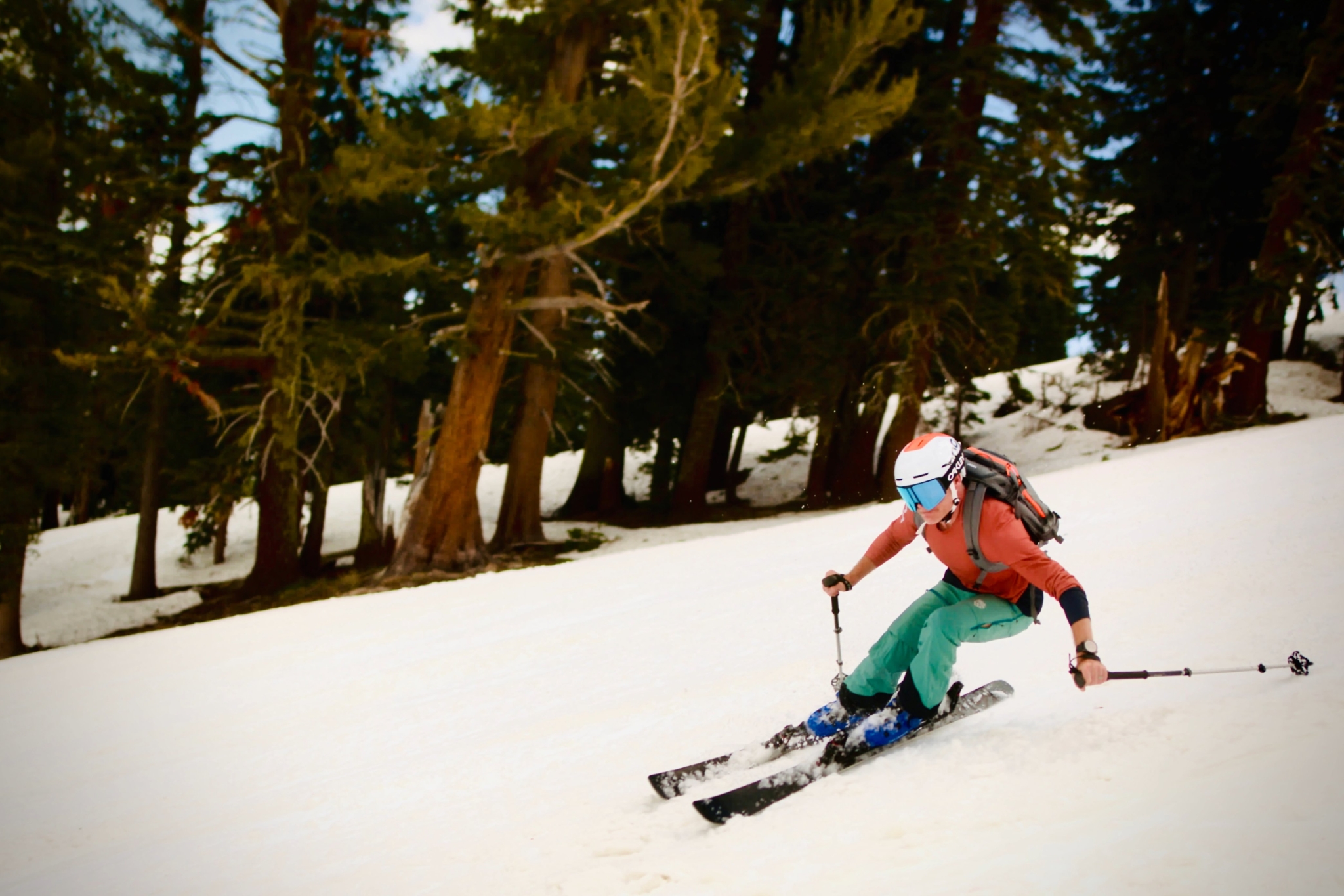 Full Suspension Skiing? ShredShox Platform System Puts Shocks on Skis ...