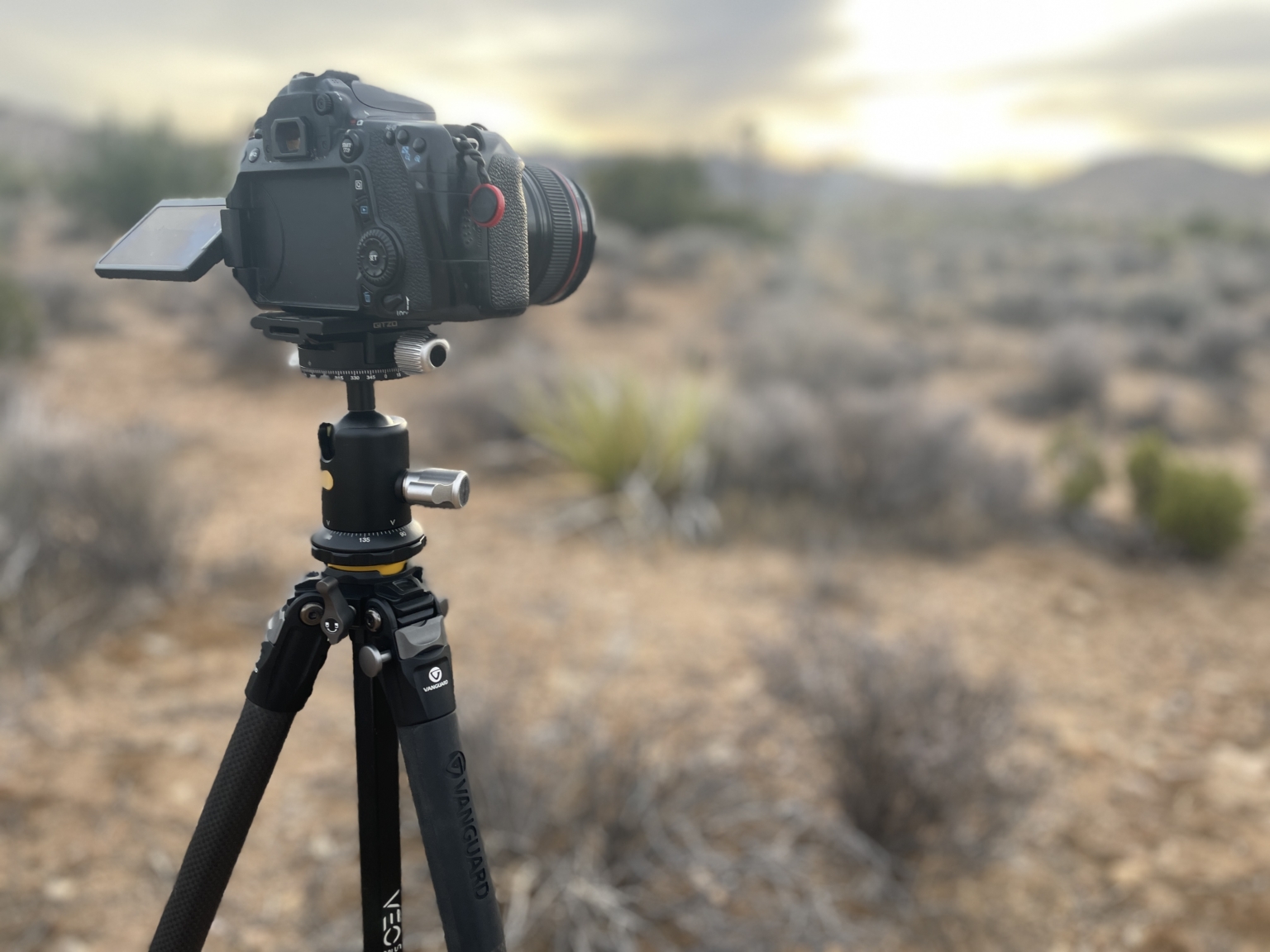 The Best Camera Tripods of 2025 | GearJunkie Tested