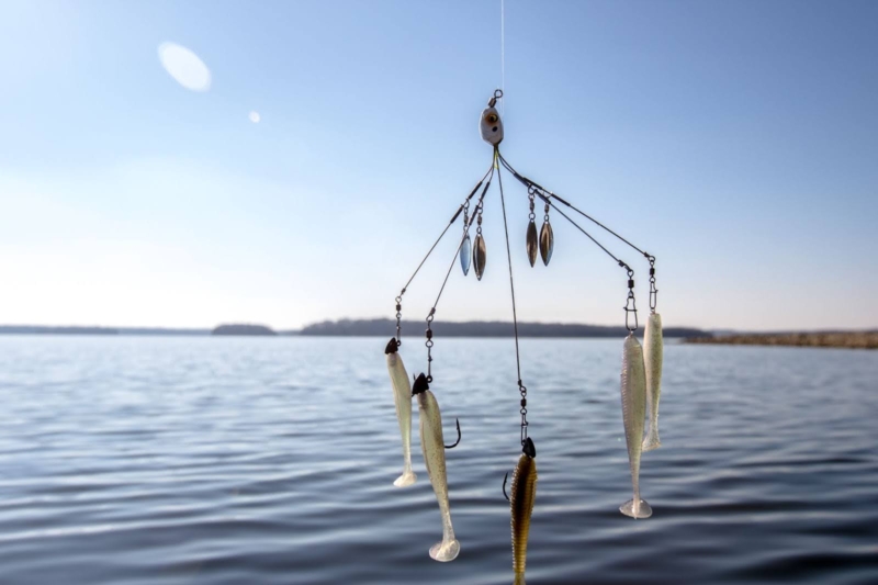 Winter Bass Lures: Top 5 Picks for Cold Water Fishing Success | GearJunkie