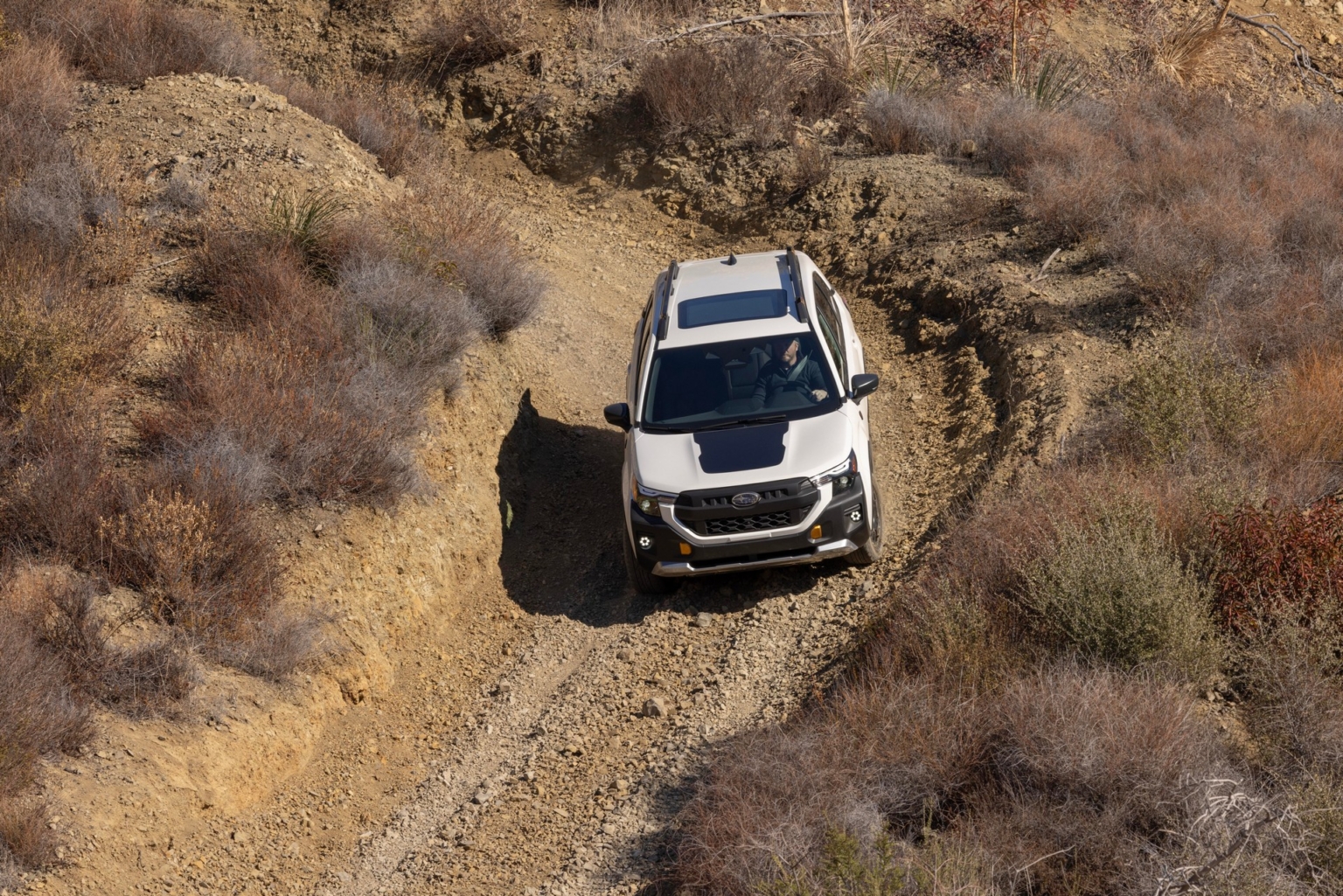2026 Subaru Outback Debut, Including New Wilderness Model | GearJunkie