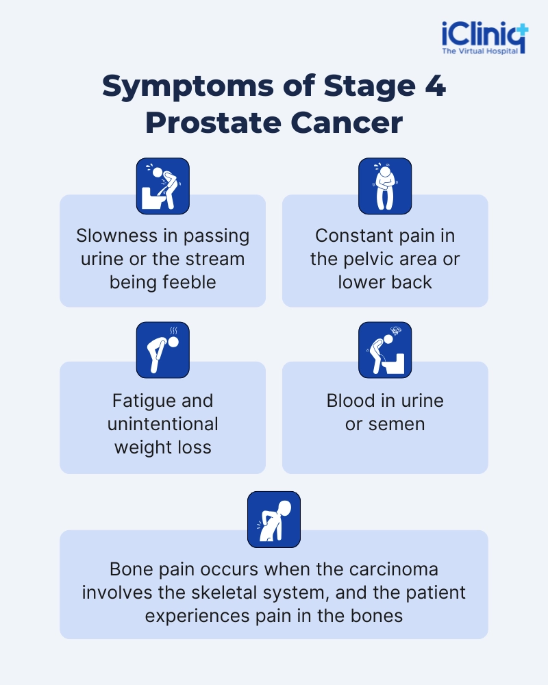 Prostate Cancer Stages Symptoms