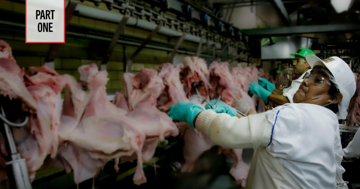 Can Iowa Meatpacking Workers Take on Tyson? - In These Times