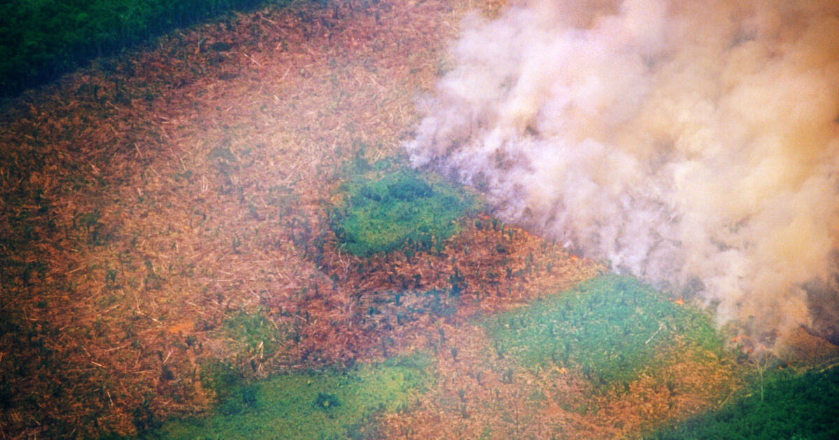 How Do Drought Conditions Escalate Wildfires? | Jensen Hughes