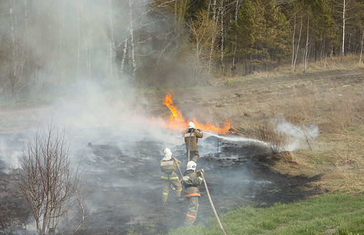 Wildfire Risk Assessment, Mitigation & Planning Services