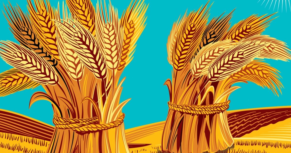 The Story of Ruth | Kids Corner