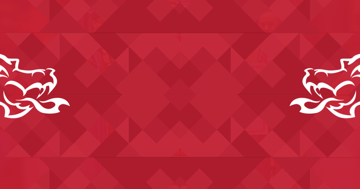 Lane College | Athletics